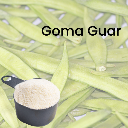 Unlocking the Potential of Goma Guar: Applications and Benefits